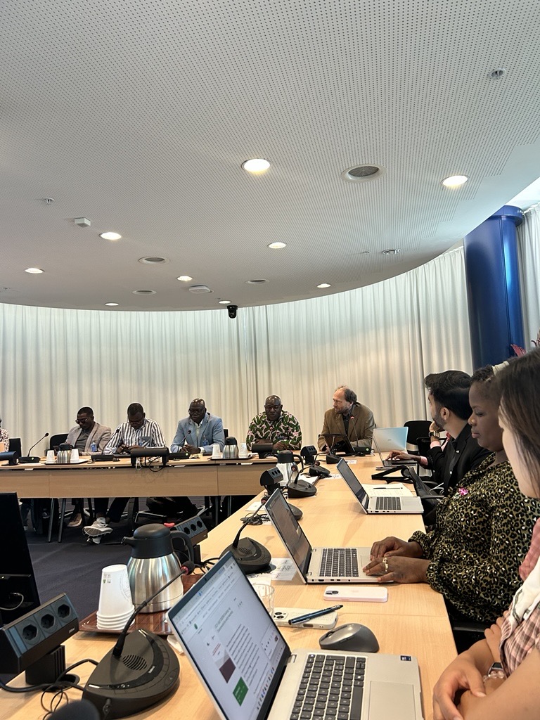 Togo's Early Warning Success: 5 Key Lessons | Mirage News