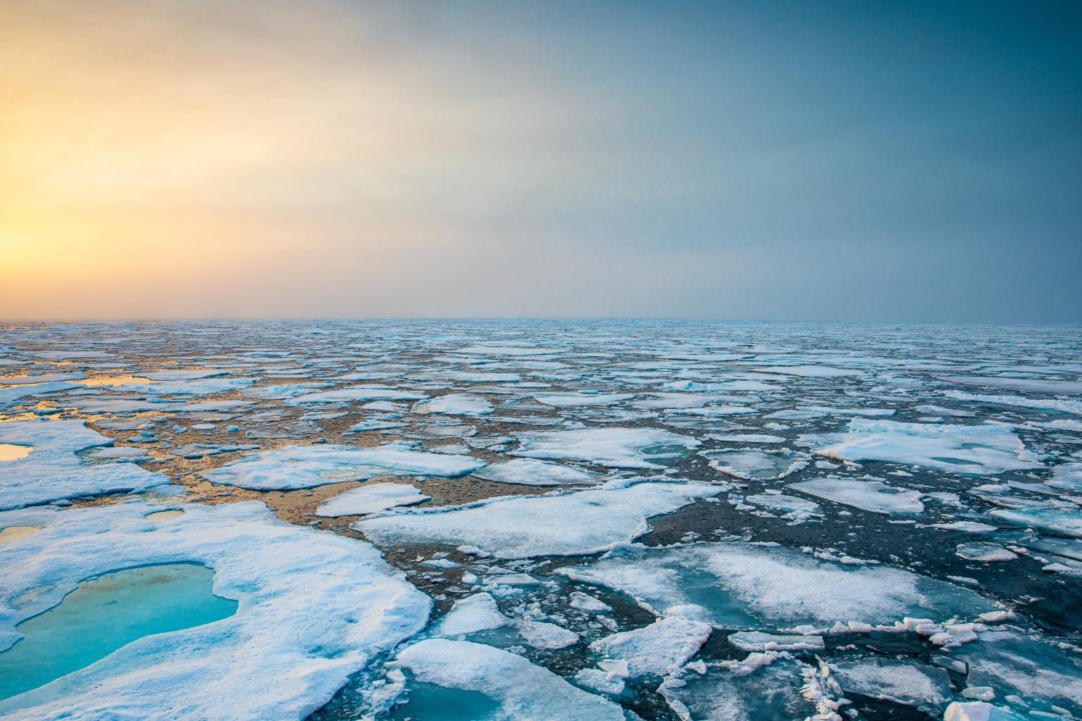 Polar scientists call for urgent action in view of rapid Arctic and ...