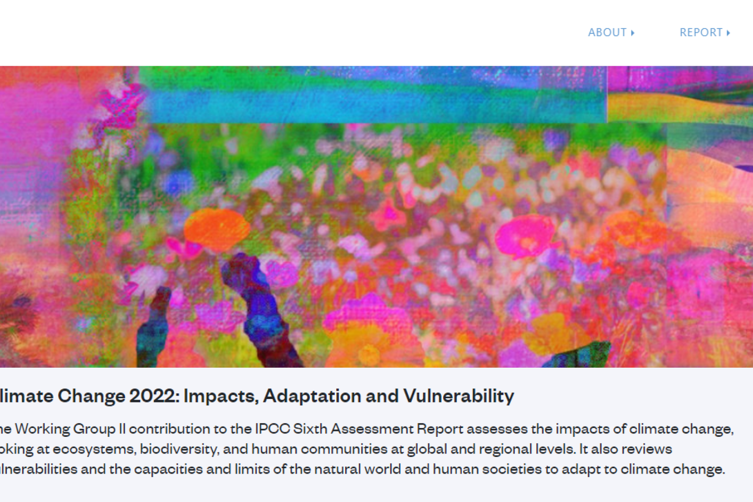Adaptation to Climate Change: Why it is taking us so long
