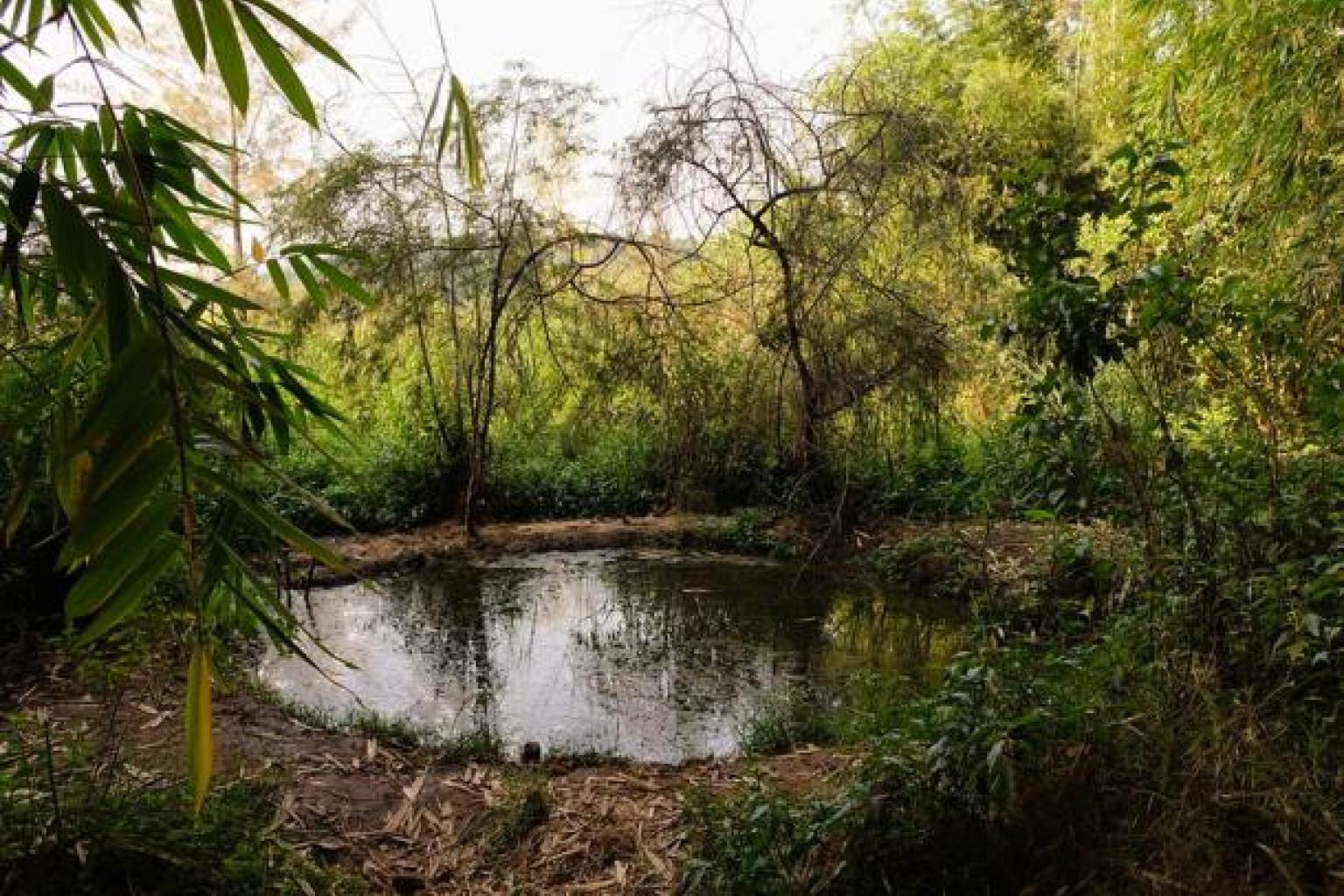 CREWS East Africa Project Launch