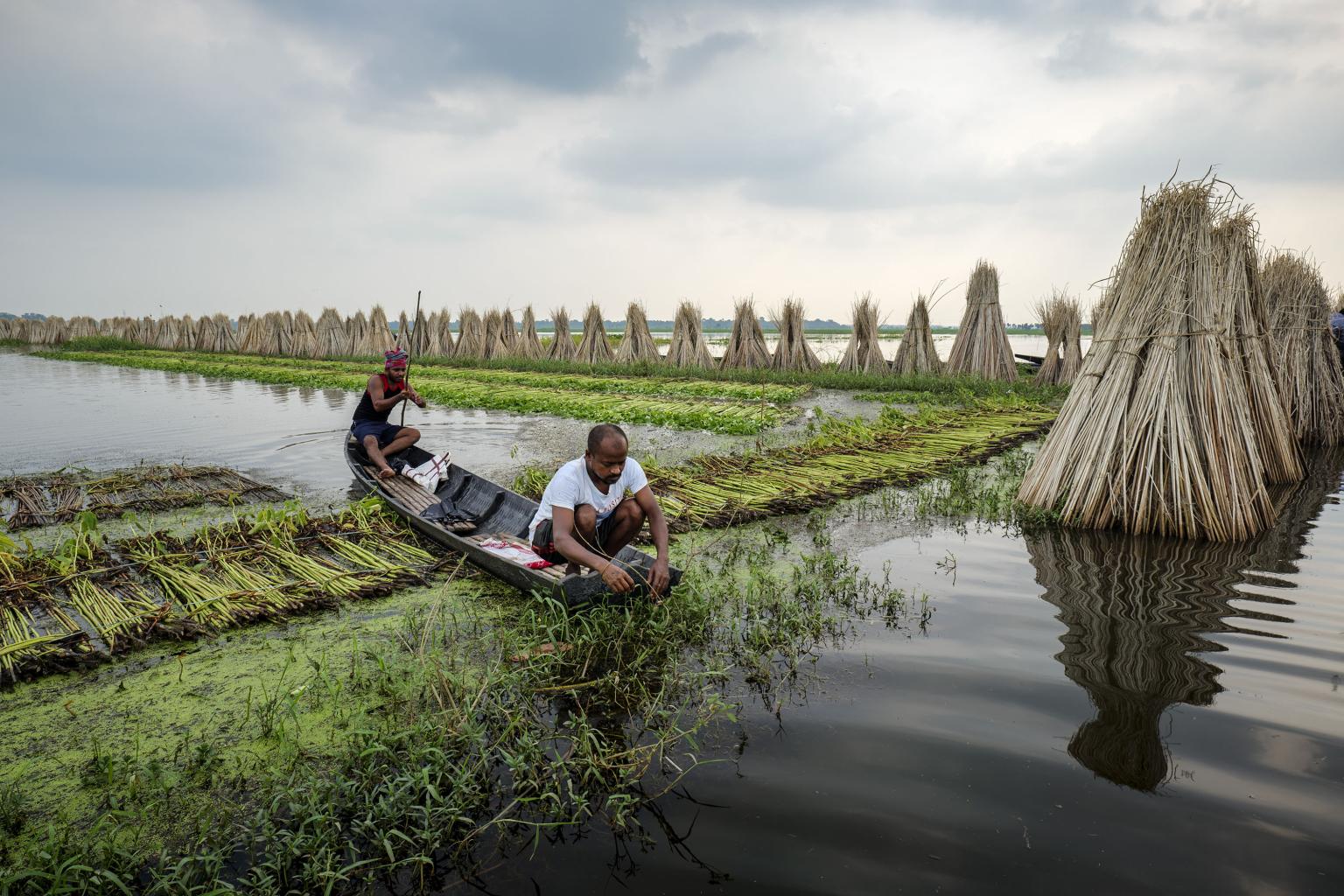WMO and FAO strengthen collaboration