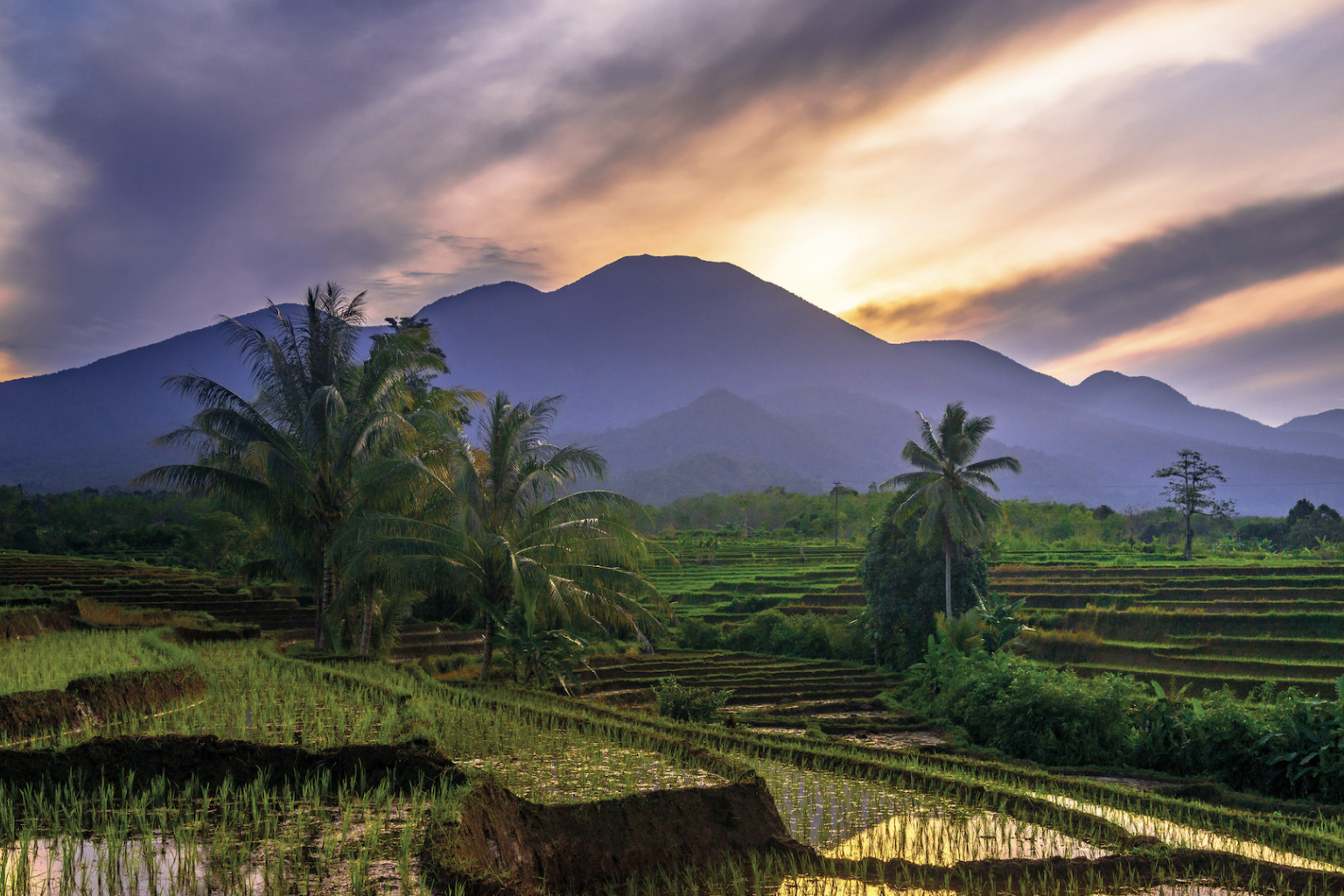 Climate change transforms Pacific Islands