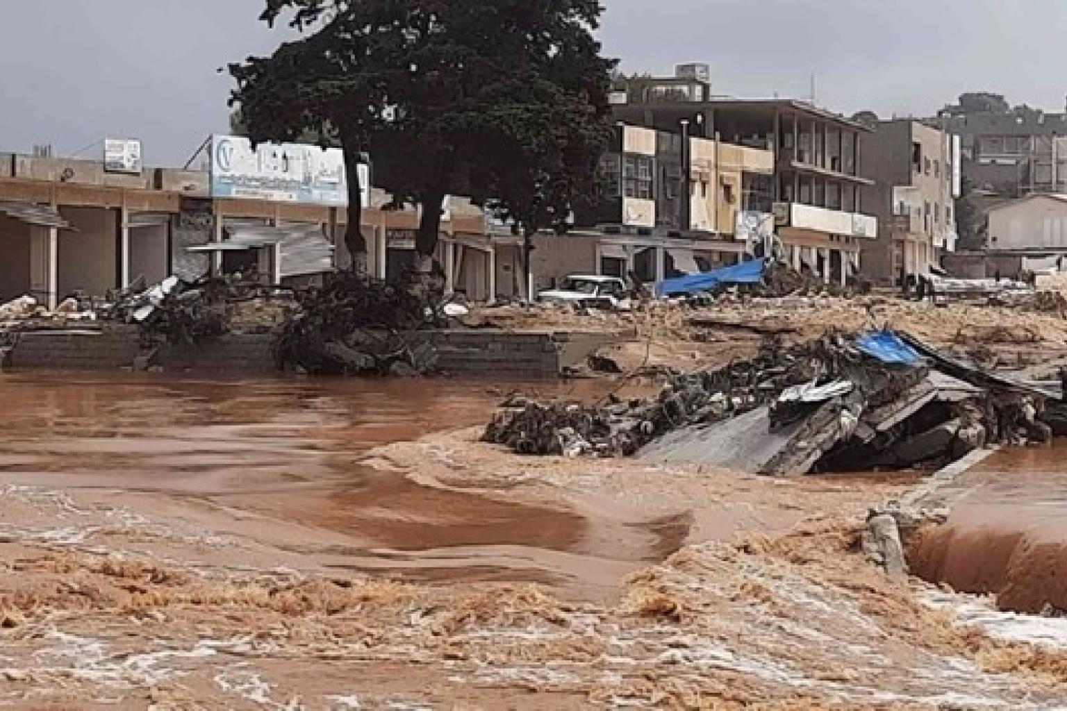 Early Warning Systems for Floods (EWS-F)