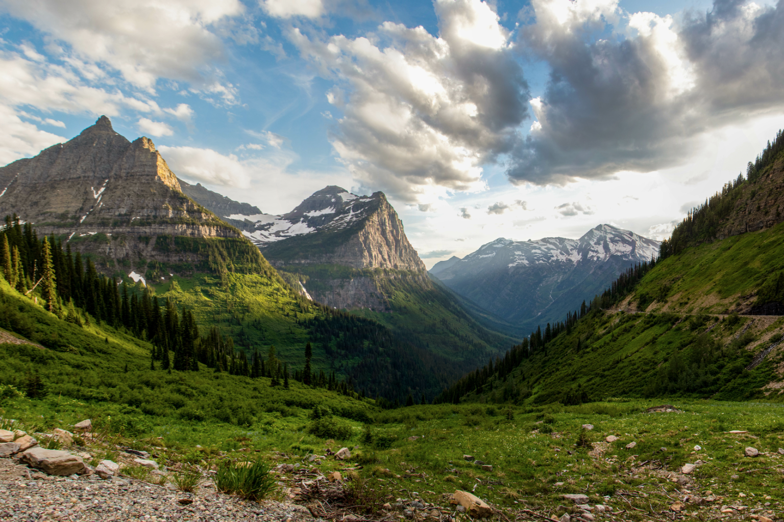 State of the Climate 2024 Update for COP29