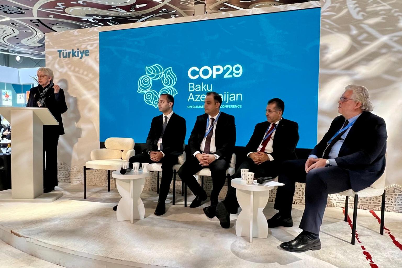 Daily Update COP29 - Tuesday 19 November