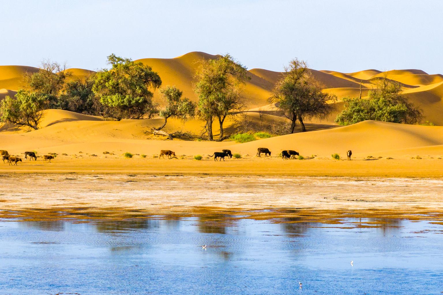 From science to action: How NMHSs can power climate finance