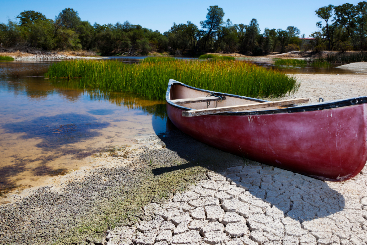 Advancing drought impact monitoring: a global baseline