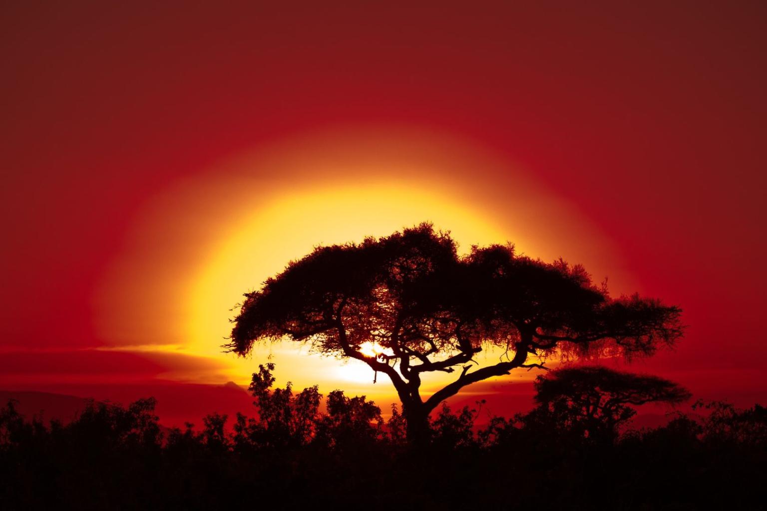 Extreme weather and climate change impacts hit Africa hard