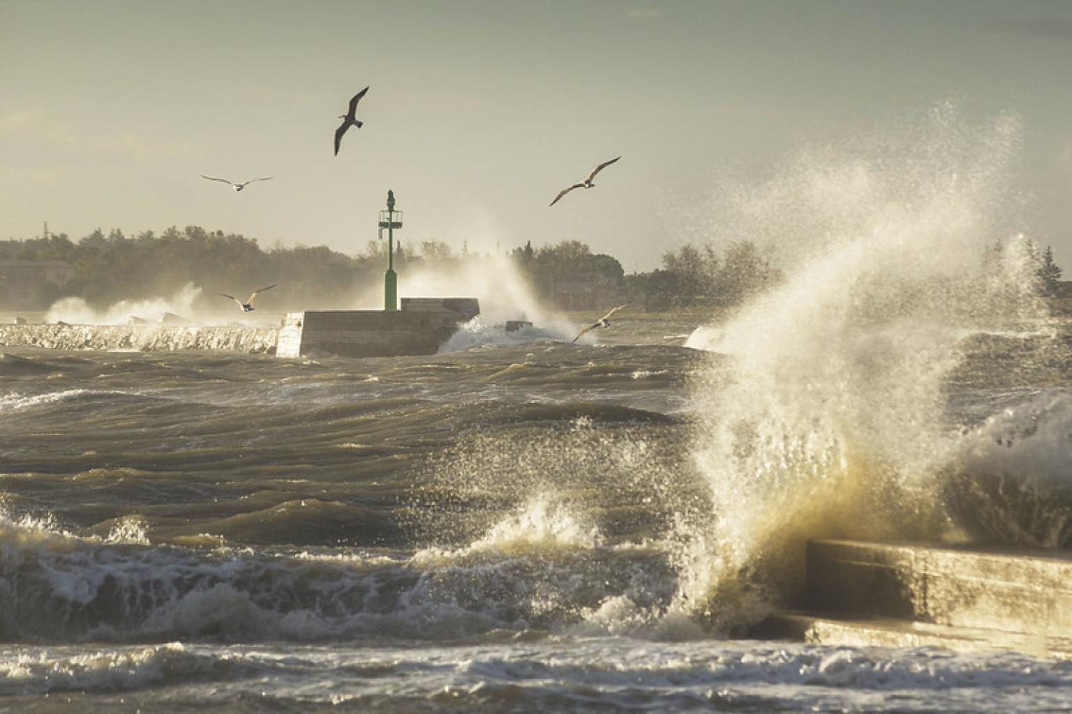Global Seasonal Climate Update for July-August-September 2025