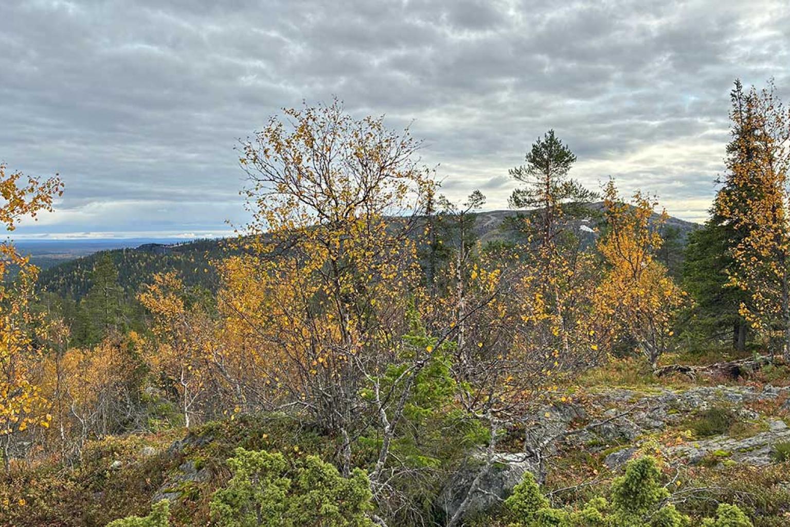 The average temperature was high in September, especially in Lapland