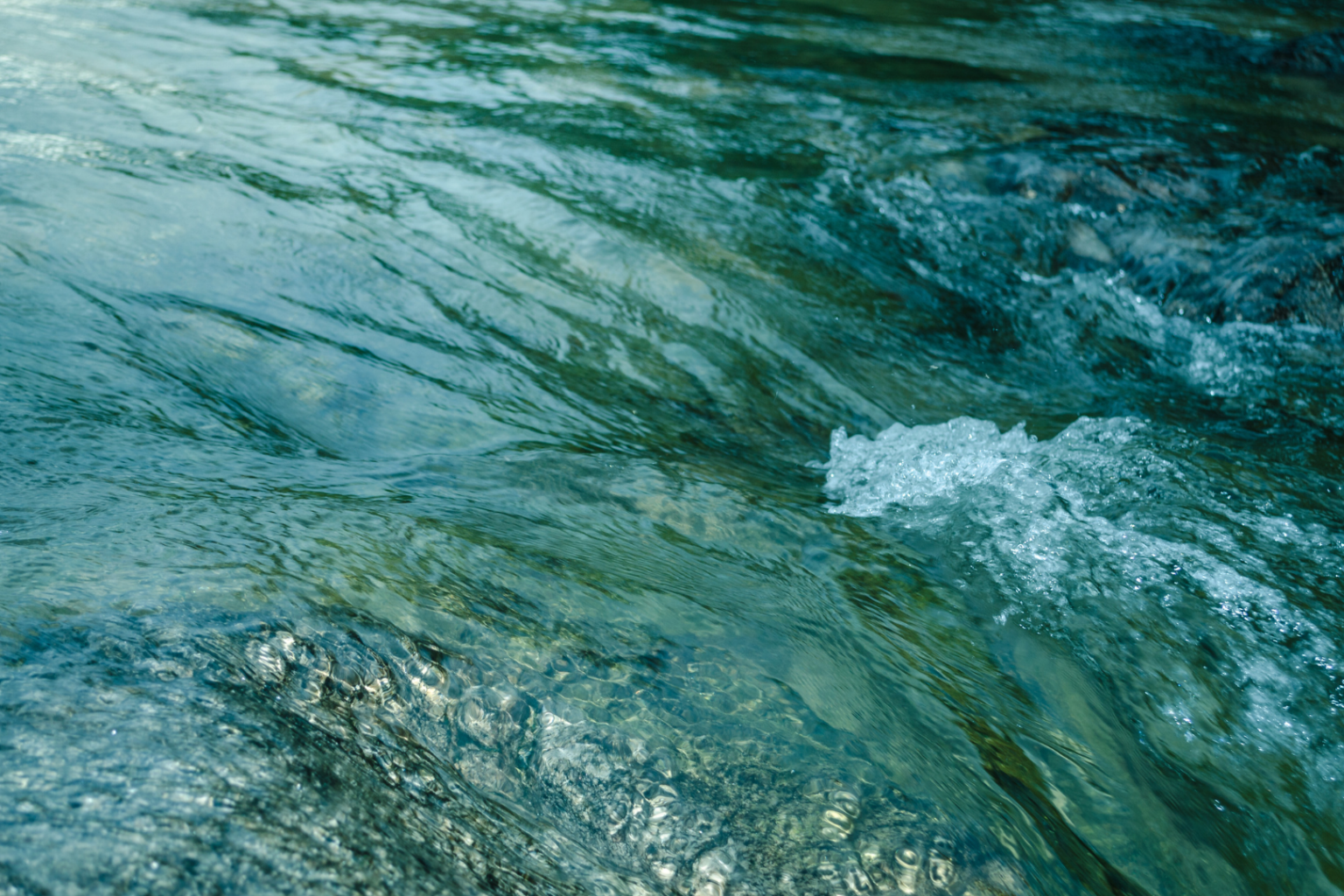 Projects in Nigeria and Uganda win the 2025 competition for youth-led initiatives