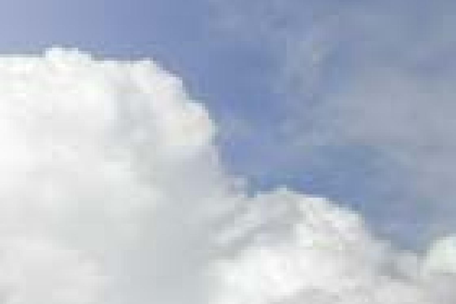 A History of Climate Activities