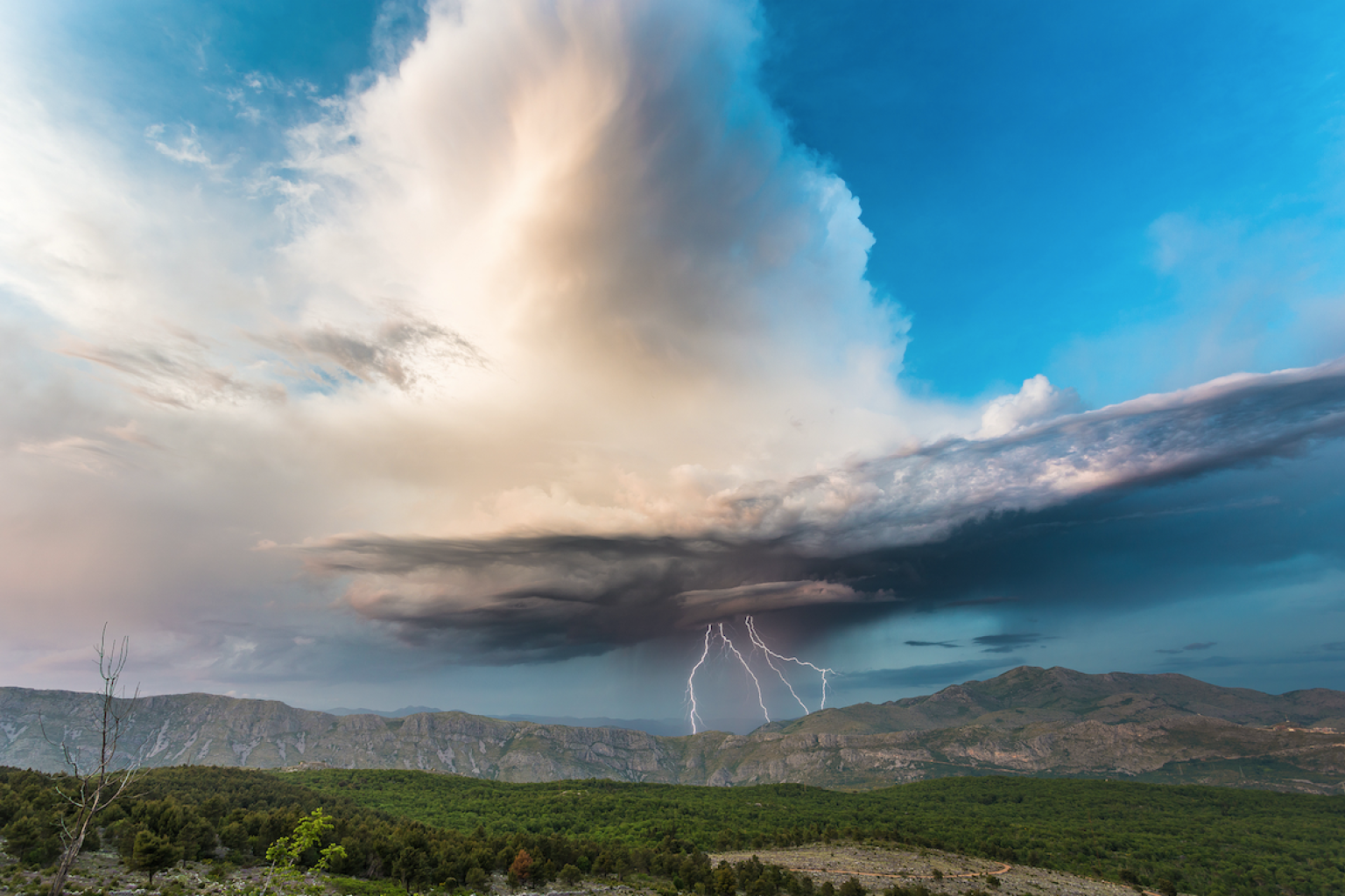 WMO Archive of Weather and Climate Extremes