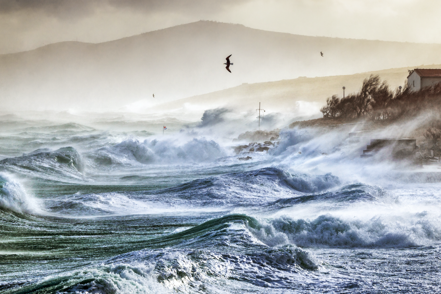 The Ocean, weather, climate and the Earth system – new approaches and ...