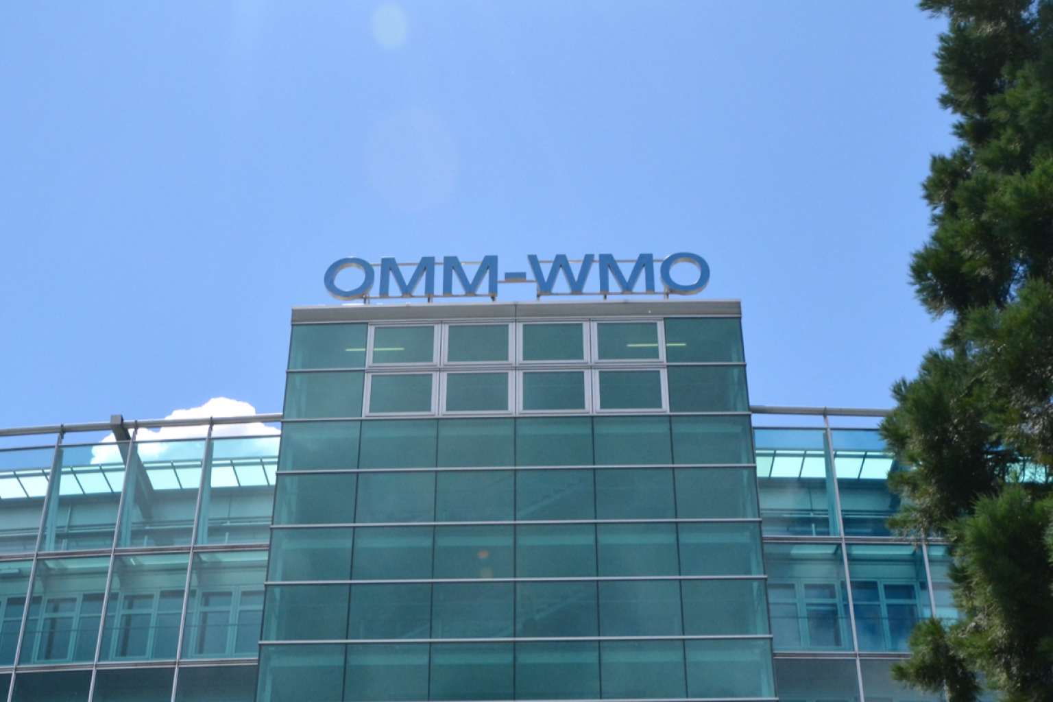 The Smart Organization for the Future