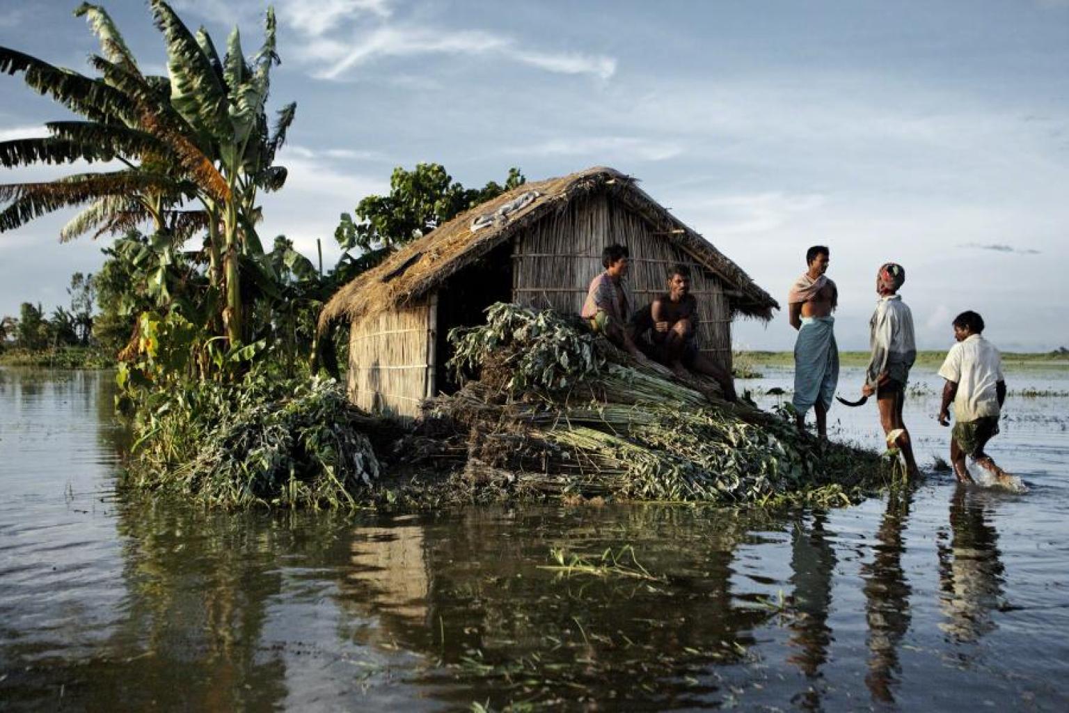 Responding to the Challenges of Climate Change