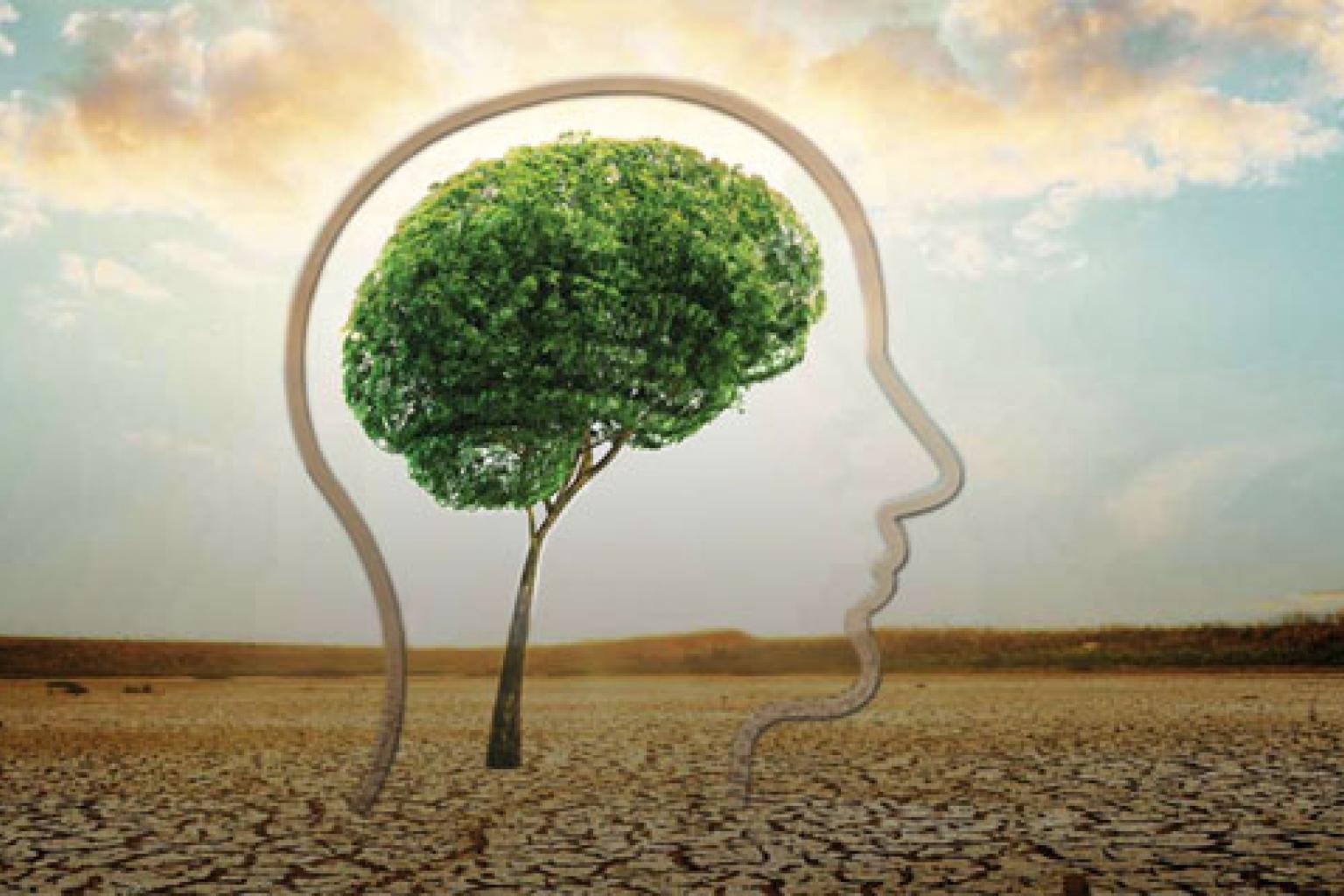 In this Issue: Climate Knowledge for Climate Action