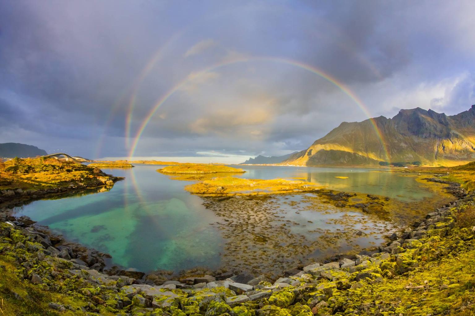 Congress endorses shift to “Earth system” approach