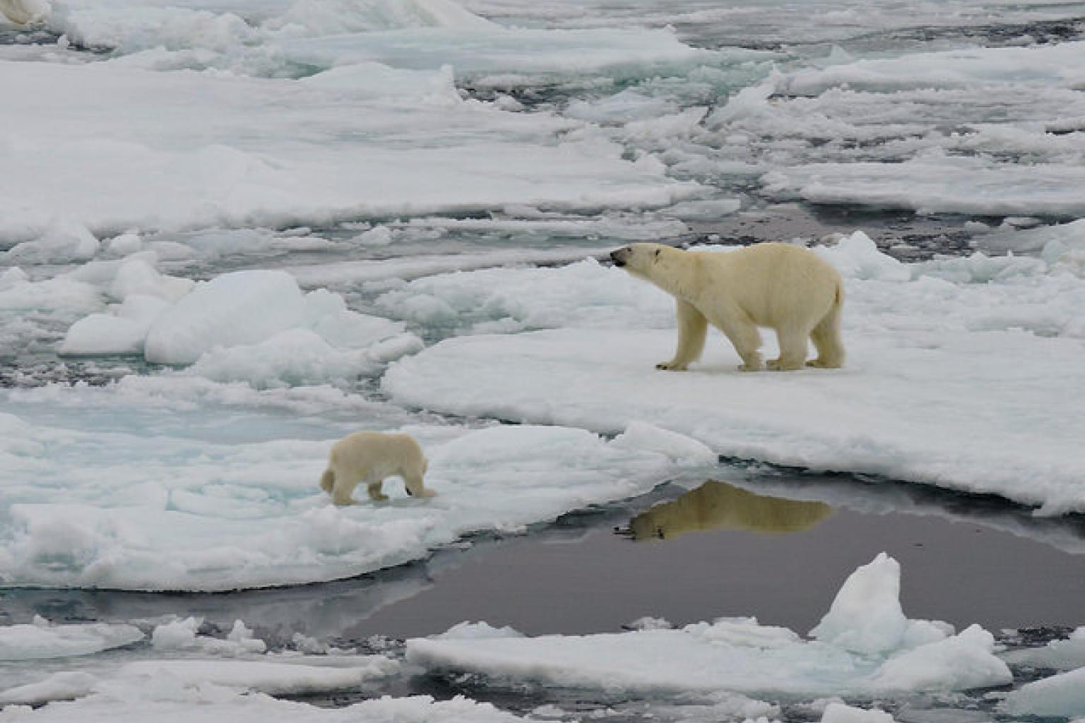 WMO addresses Arctic Science Ministerial