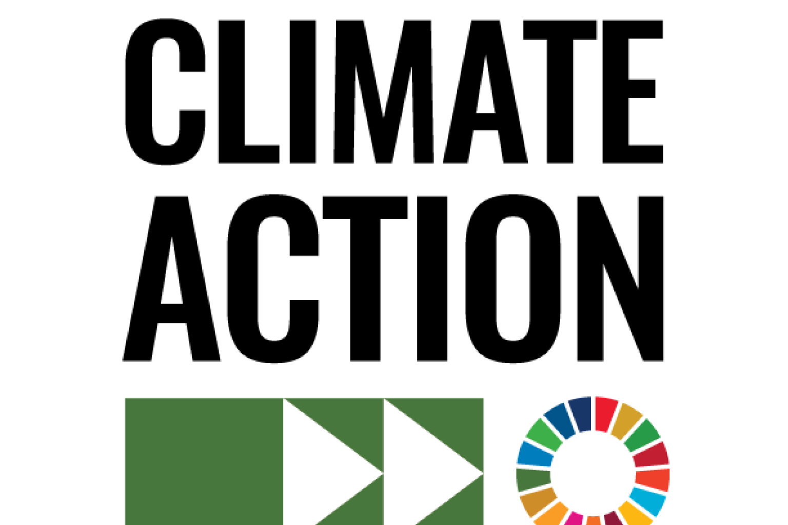 75th UN General Assembly spotlights Climate Action