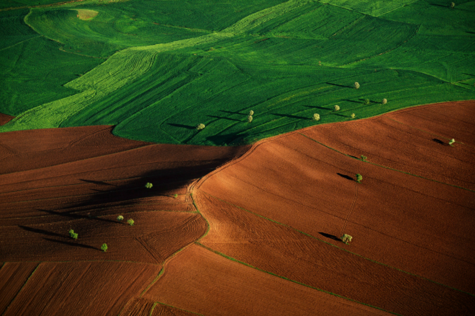 IPCC climate change and land report marks critical contribution to ...