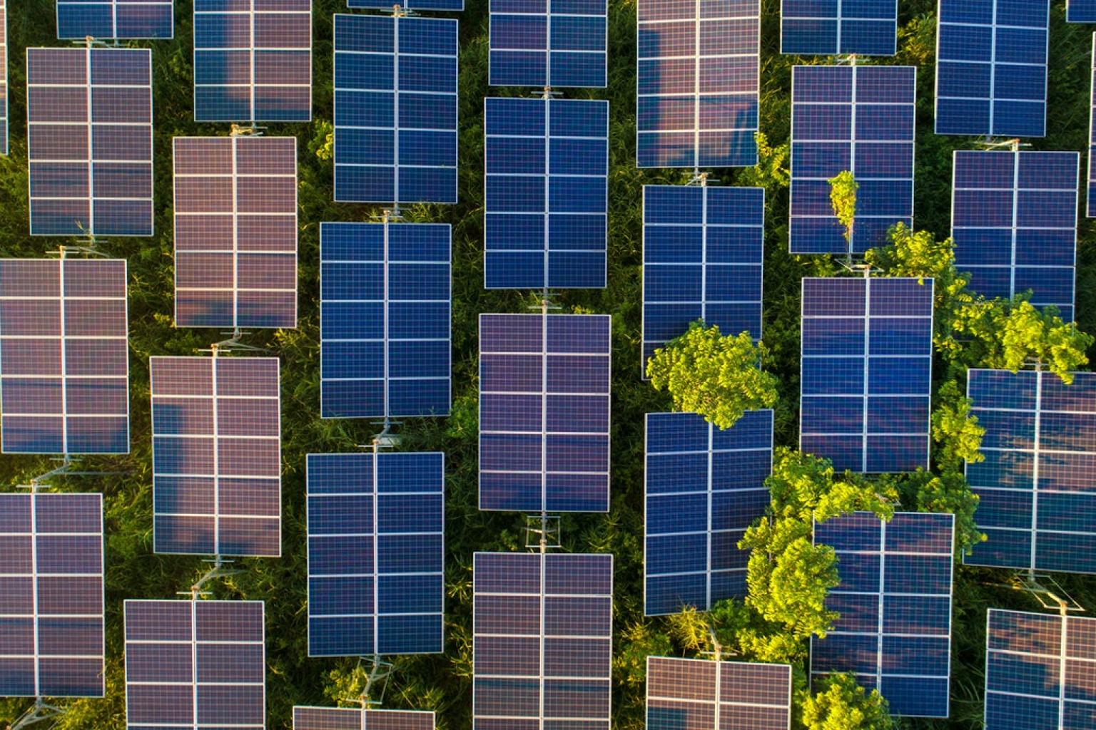 Energy pathway to net zero by 2050