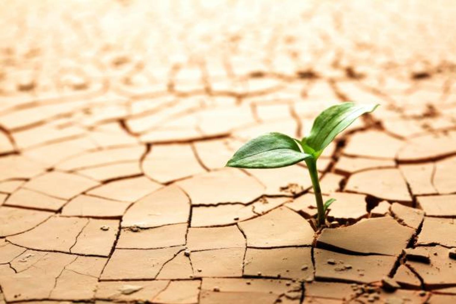 Drought preparedness day shows pathway for action