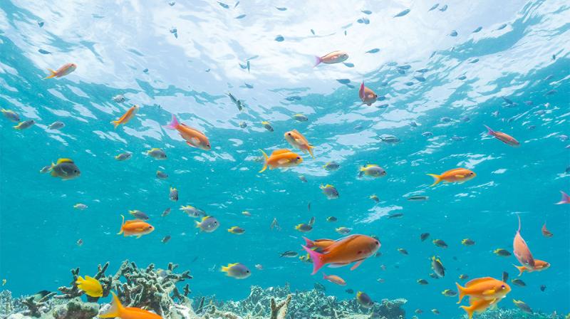 State of the Global Climate 2023