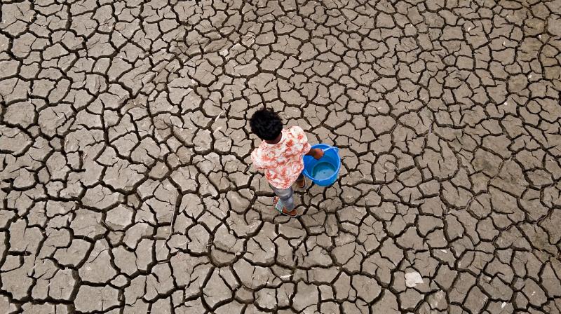 2024 State of Climate Services