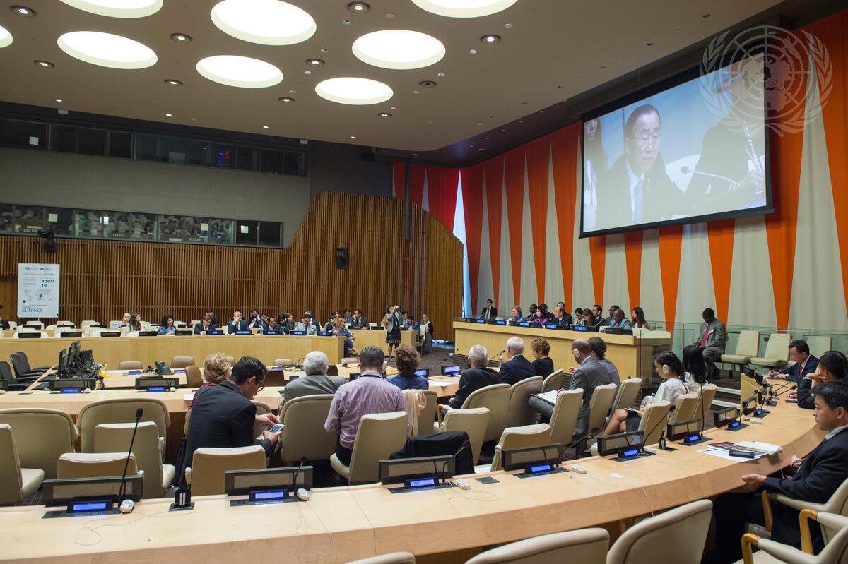 WMO New York's work at the UN Economic and Social Council