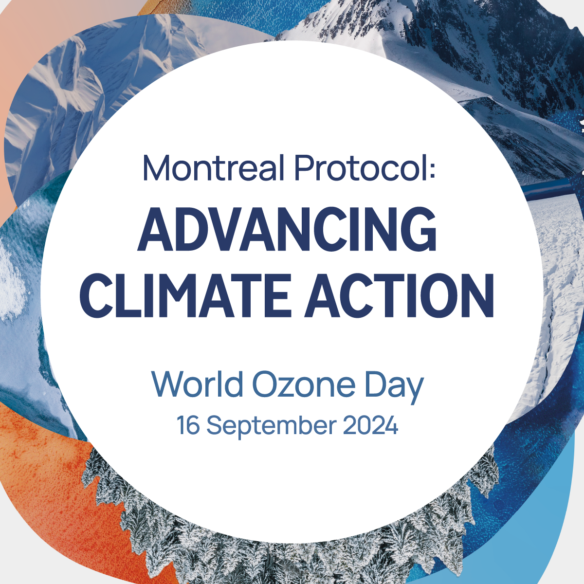 WMO Ozone and UV Bulletin published for World Ozone Day
