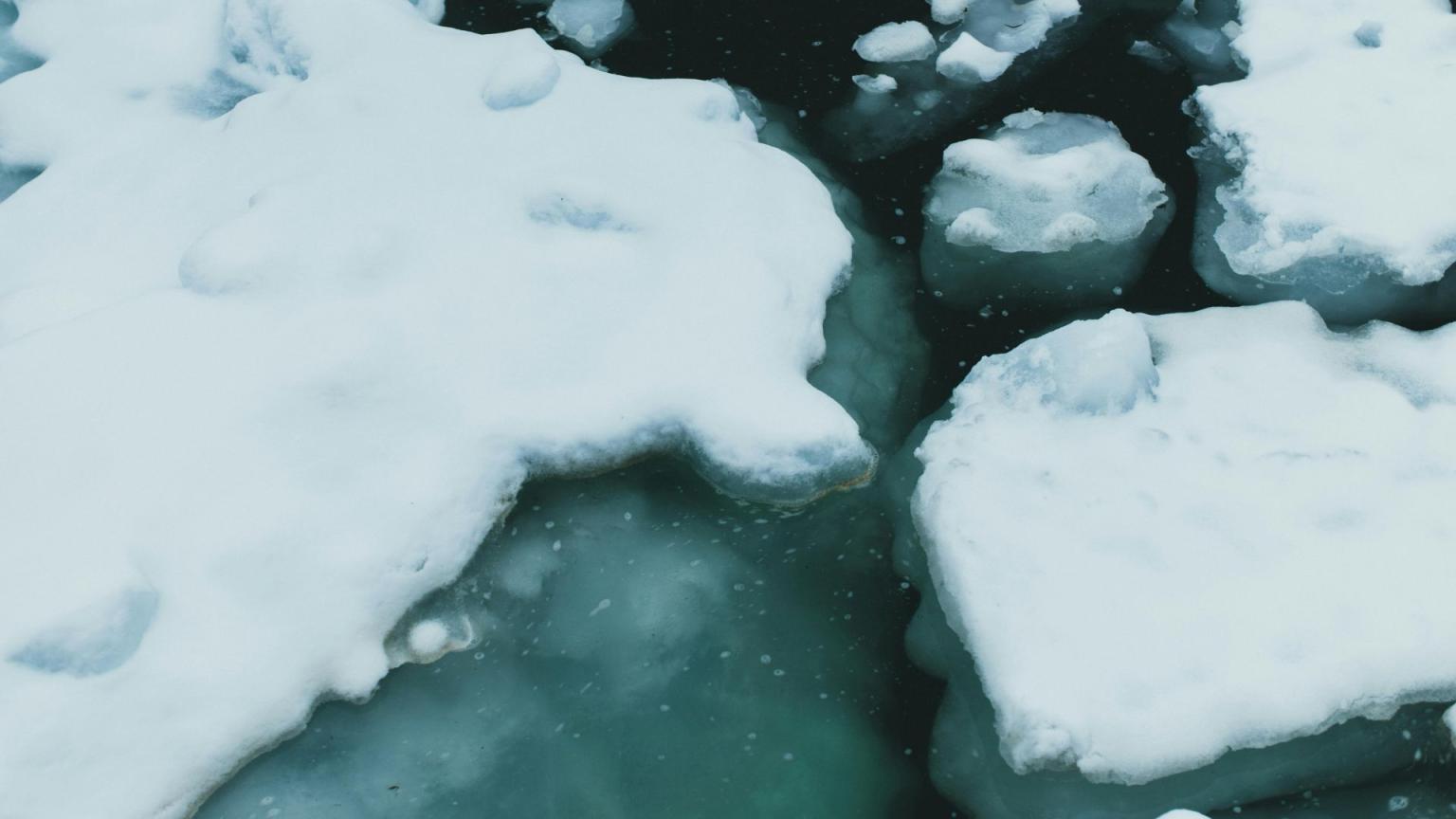 Climate change impacts grip globe in 2024
