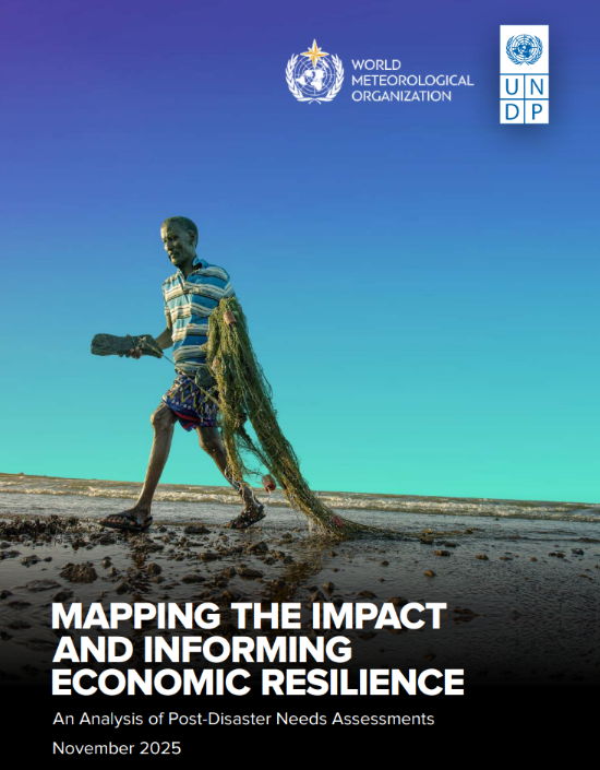 WMO and UNDP report analyses post-disaster needs assessments.