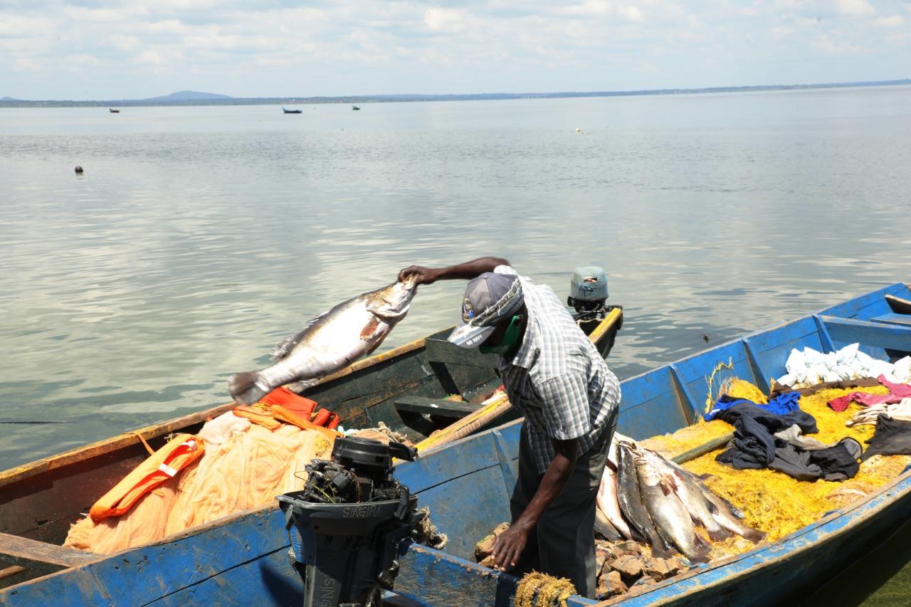 Early warnings protect lives on Africa’s Lake Victoria