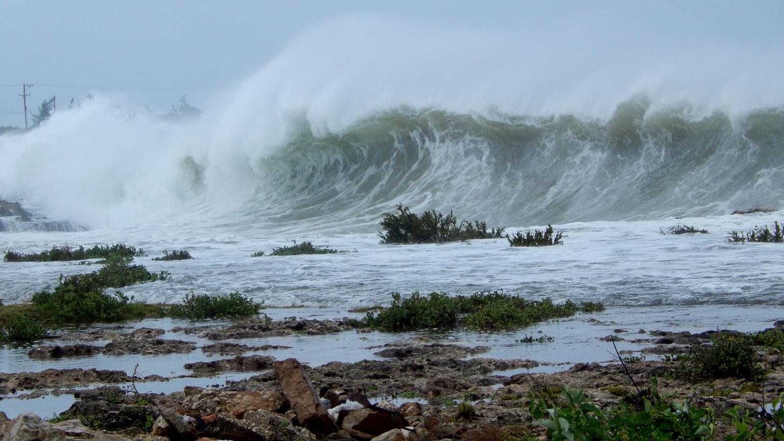 World Meteorological Day celebrates the ocean, our climate and weather