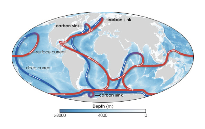 Ocean Prediction - modelling for the future