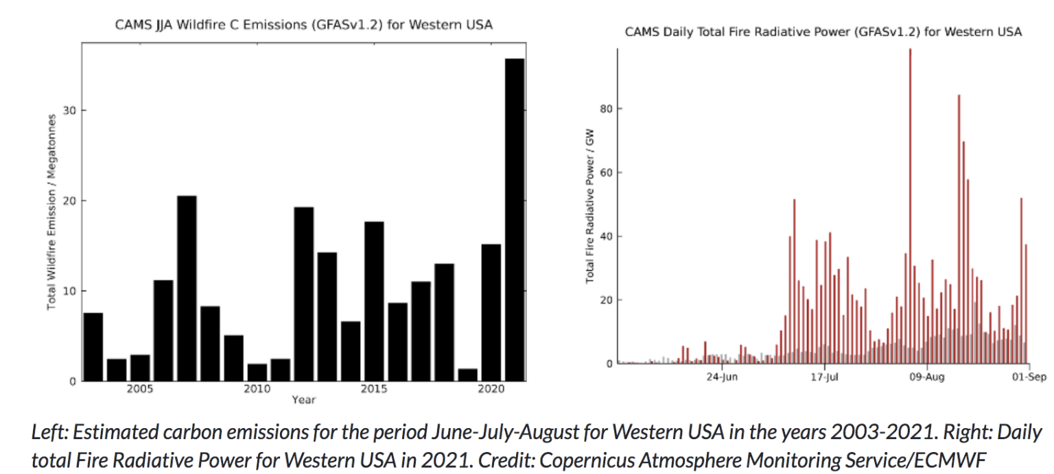 Devastating wildfires cause record emissions in Northern hemisphere