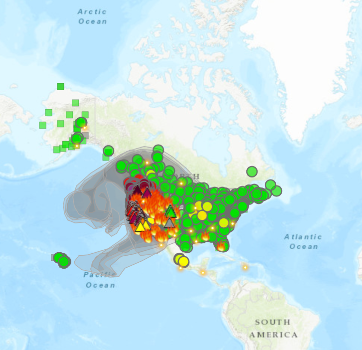 Northern hemisphere summer marked by heat and fires